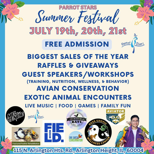 Parrot Wizard - Parrot Training, Supplies, and Support by Michael Sazhin